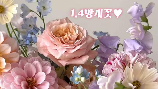 생 신입 14층♥ 더샷 여니 숨결 리닝 내열혈 짱♥청순한 고막여친 목소리 1티어 라디오♥ 신청곡 켜잠 켜일 맛집