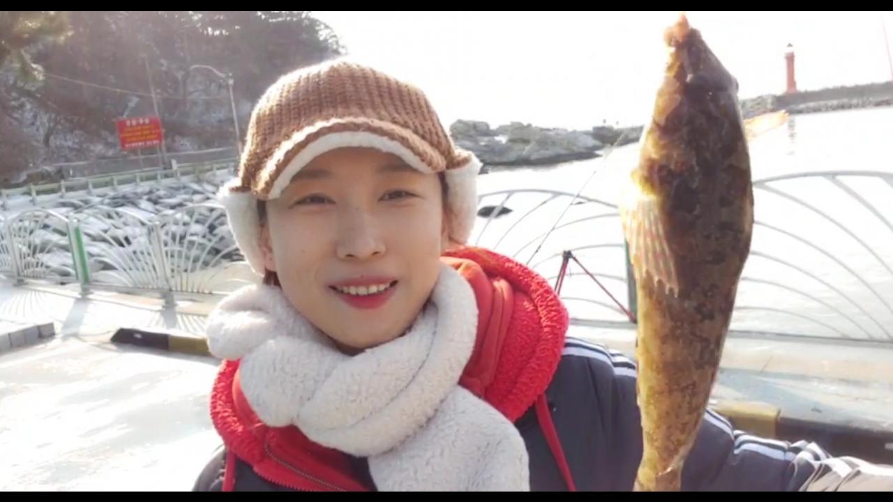 50일차 신입낚비 강풍 이겨내고 도다리1 놀래미5 군소1수 동해바다 강릉 심곡항 원투낚시♡핵빵디 소통여행먹방 아프리카