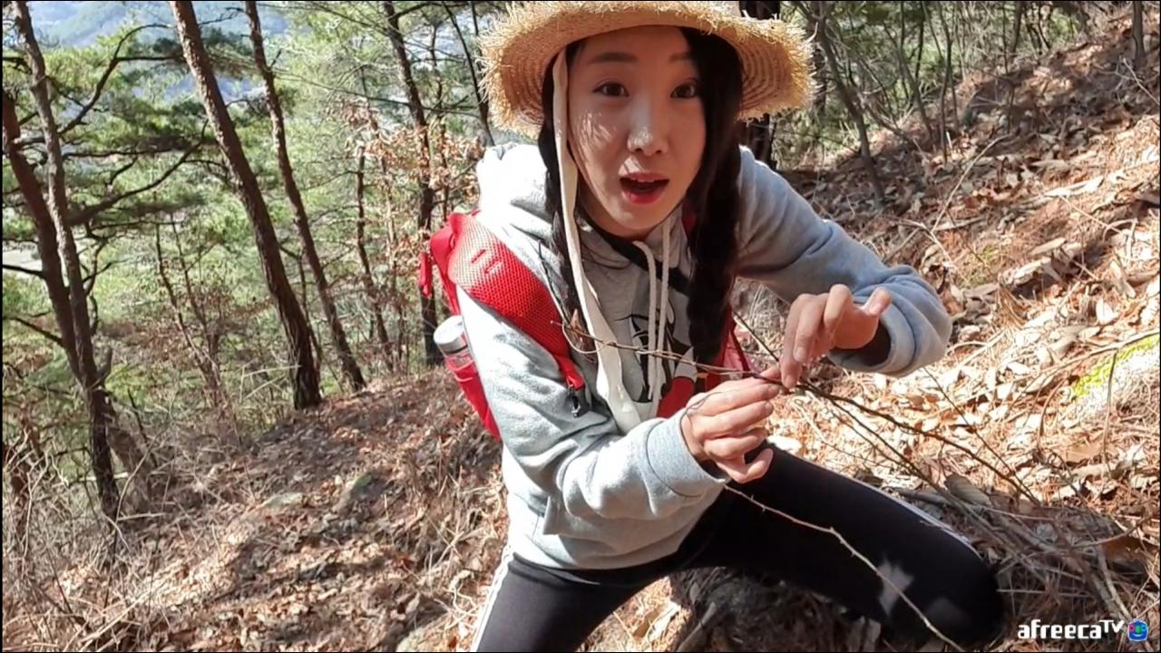 전남곡성시골라이프 뒷산 탐방 두부 돼지고기김치두루치기 쿡방 먹방 아프리카tv Vod