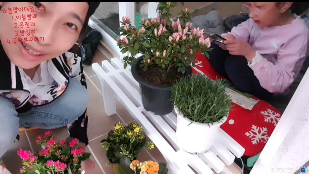 방방콕콕 봄맞이 청소달인의 일상봄향기나는 꽃화분꾸미기컨텐츠여왕신입여캠 육아줌마 아프리카tv Vod