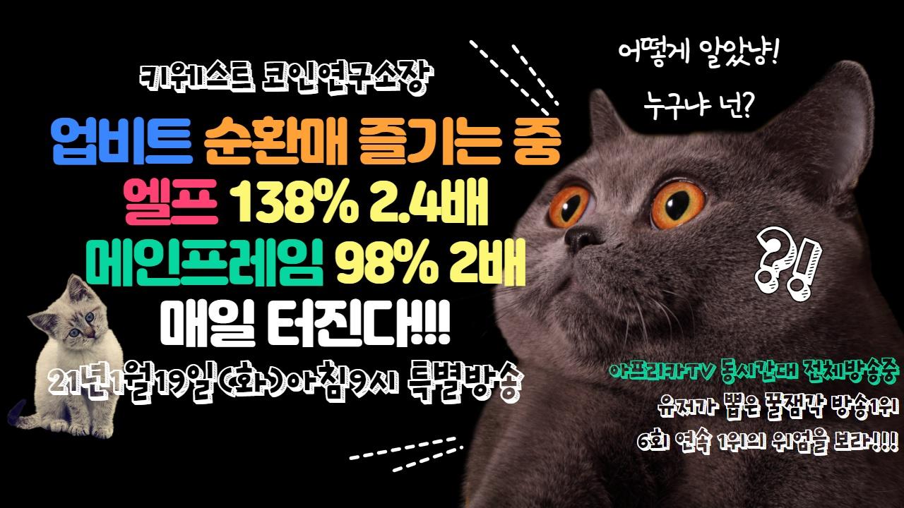 21년1월19일화아침9시 엘프 138 메인프레임98 화요일 엘프 골렘 상승 예언 적중 유망코인은 키웨스트 코인연구소장