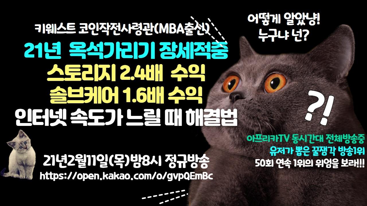 21년2월11일목밤8시 스토리지 24배 솔브케어 16배 수익 암호화폐 비트코인 키웨스트 코인작전사령관 정규방송