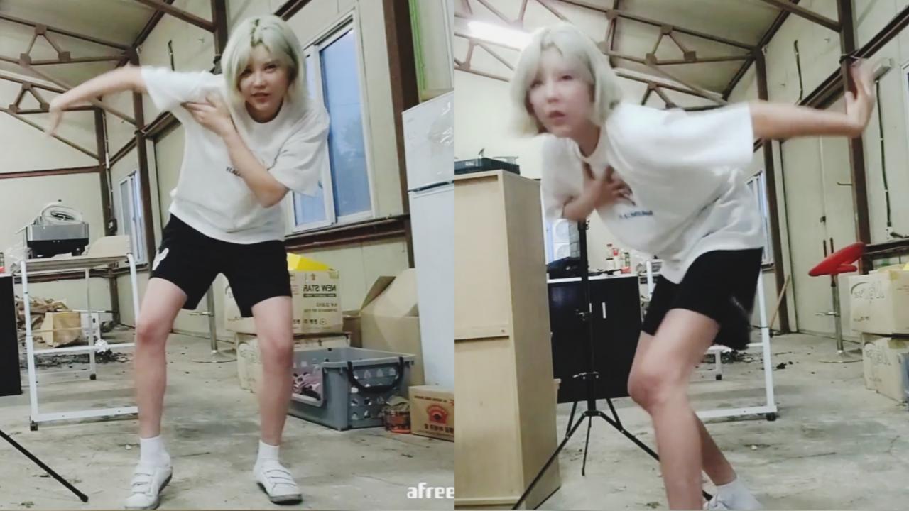 클립 💥🙊신상댄스👩‍🌾덕자누나🙉💥솥뚜껑 꽁치김치찜 Andla갈비먹방 덕자전성시대 트월킹고양이발충사쿠란보오토바이 덕자전성시대♥️