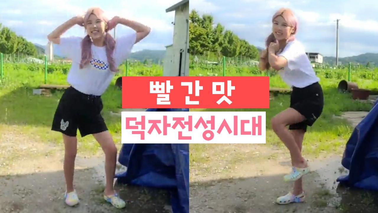 클립 🍎빨간맛 덕자누나🍎섹시댄스👩‍🌾아싸 나 도까스 또먹는다 트럭수영장 개장했어영 제로투맛집트월킹고양이발충사쿠란보오토바이
