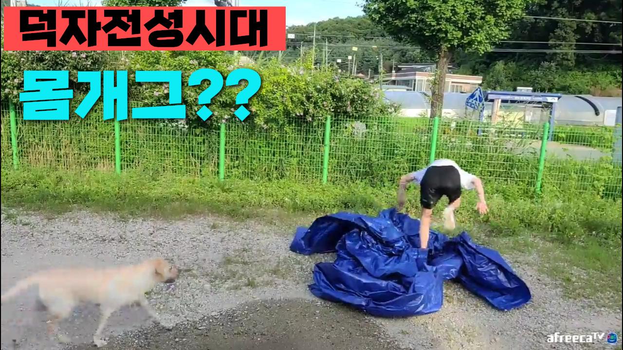 클립 🤭몸개그 덕자누나🐶아싸 나 도까스 또먹는다 트럭수영장 개장했어영 제로투맛집트월킹고양이발충사쿠란보오토바이 덕자전성시대