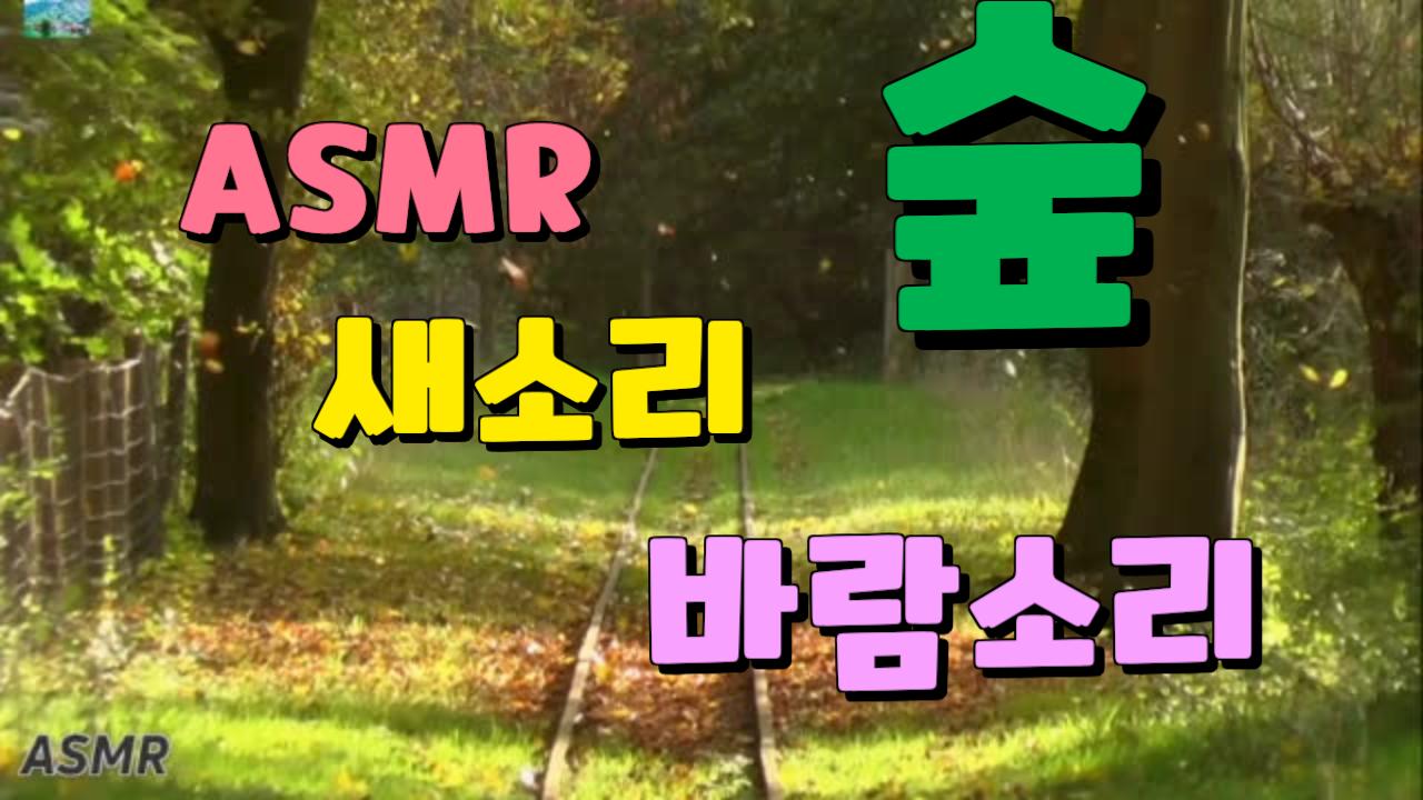 ASMR 바람소리와 새소리 한가한 숲속(고음질 ASMR) | SOOP VOD