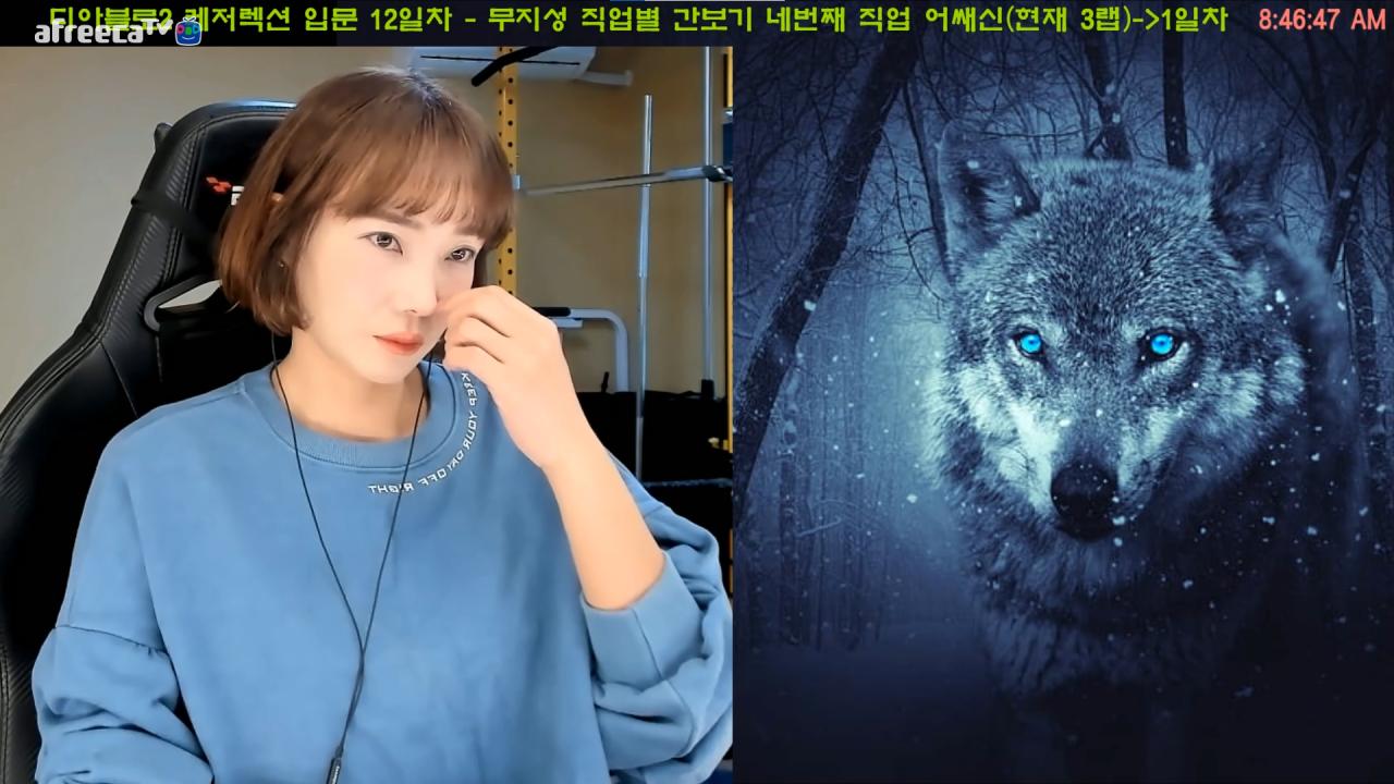 신입 女 여캠 디아2 12일차8직업별 간보기네번째 직업 어쌔신현재3랩대 놓고 쩔해주실 귀인 모셔요~맞즐 맞추 아적단