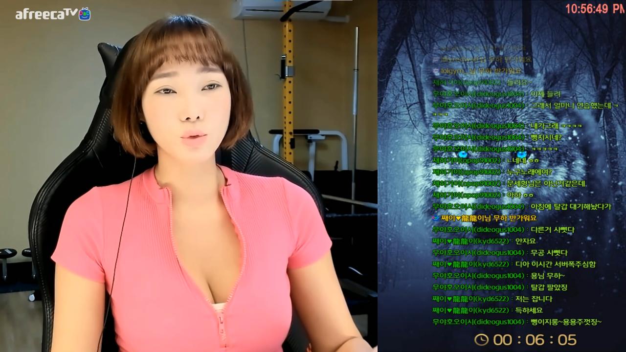 신입女여캠 디아2 14일차 직업 85랩 간보기어쌔신 왜 안하나네번째 어쌔신현재73랩어쌔신 고수 있나맞즐 맞추