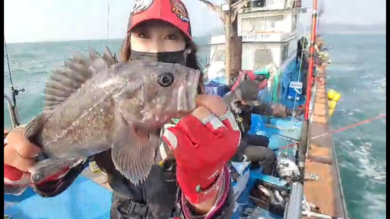 신진도 우럭 선상 낚시 우럭잡기 미친 조과 미친 너울ㅠ멀미와 싸움 잘나오는데낚시바다힐링여행 아프리카tv Vod