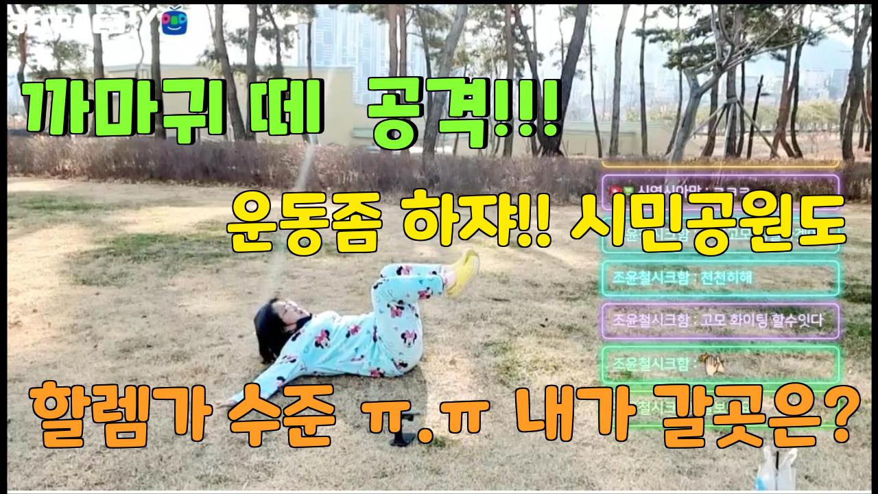 아침 운동 새 유니폼 개추워 부산 서면 신입 소통 부천 명언 먹방 흉가 야킹 야방 철구 타로 Soop Vod