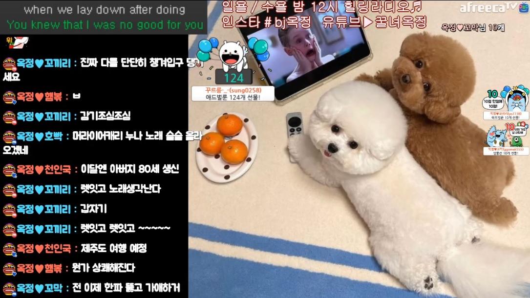 221201 옥정 힐링라디오♥팬가입유튜브꿀녀옥정구독♥퀵뷰이벤트♥귀르가즘♥꿀성대女♥멜론발라드댄스수면음악꿀잠방송목소리소통사연