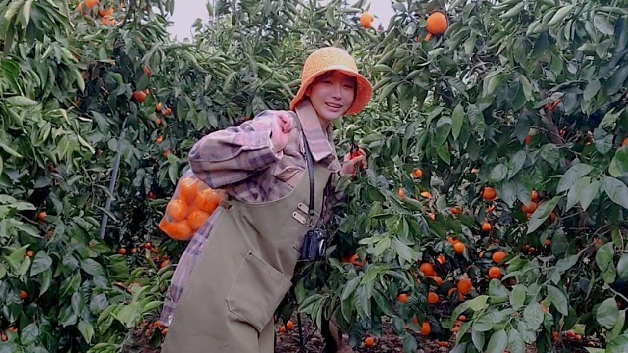 제주 서귀포시 여행(2/2) | SOOP VOD