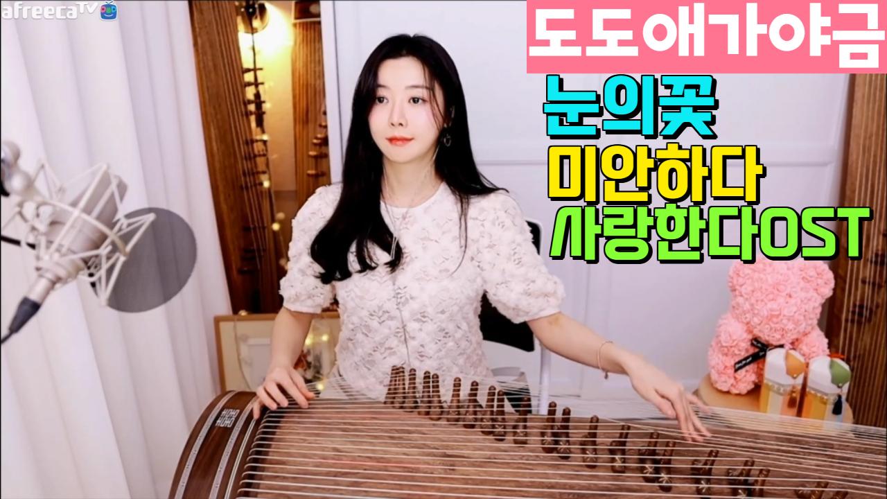 클립 창엔터 ️힐링 가야금 ️라이브 맛집 ️박효신 눈의꽃 미안하다사랑한다ost 도도애 가야금연주 라이브