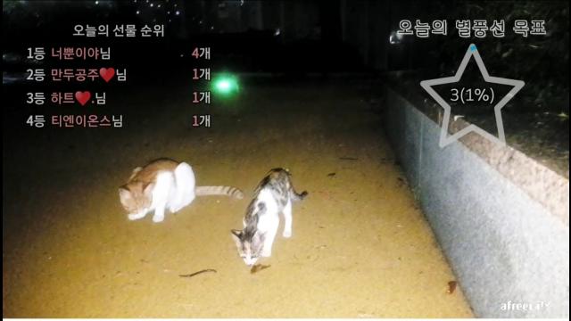 2부 야브 조용한 새벽에 길고양이 간식챙겨주기 야옹아 야식먹자 중간에 지렁이구출 하기 매너채팅 맞추★맞즐★추천★즐찾★윽박