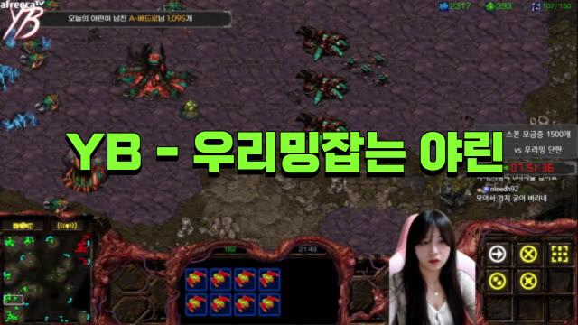 YB - 우리밍잡는 야린 | SOOP VOD