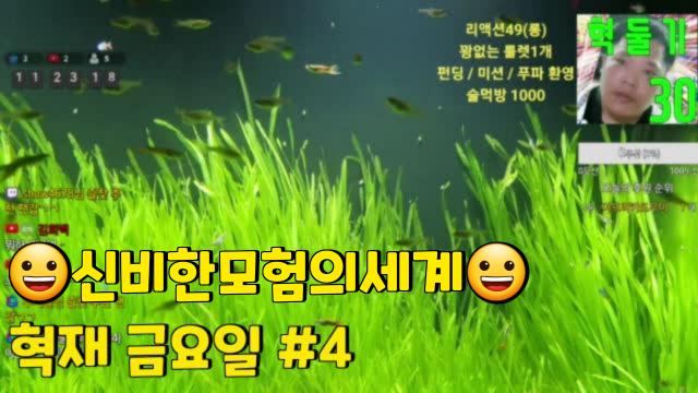 😀신비한모험세계😀부천혁재라이프부천안산인천구월서울홍대강남대전대구부산광주제주도한국해외일본태국베트남