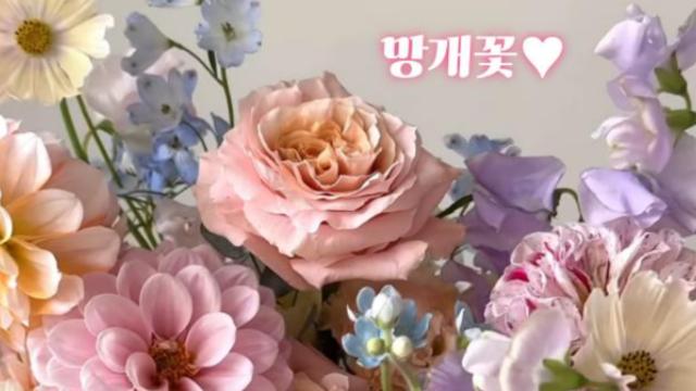생라디오 망개꽃♥ 피리♥ 스치면 열혈♥ 스며들면 사랑♥ 귀인님 귀호강 하세요♥ 청순한 고막여친 1티어 라디오♥ 켜잠 맛집