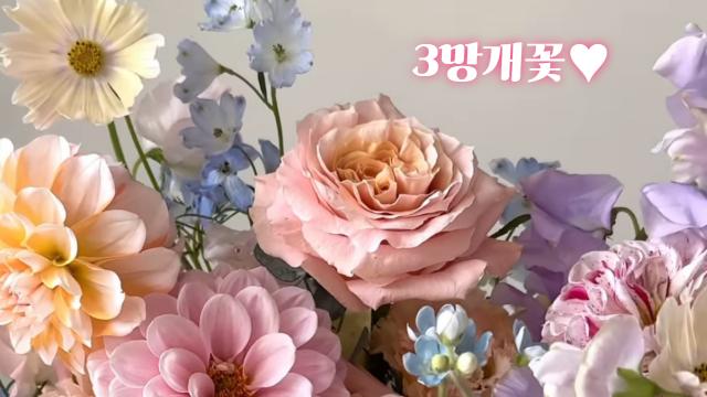 생라디오 3망개꽃♥ 피리야 사랑해♥ 스치면 열혈♥ 스며들면 사랑♥ 귀인님 귀호강 하세요♥ 청순한 고막여친 1티어♥