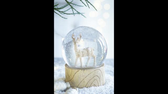 미국 FBI 최대 굴욕사건 | SOOP VOD