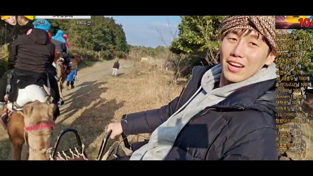 제주도 낙타타고 트래킹하겠습니다 24시간 노방종 설씨산업설영욱 씨건 멋대루 콩자반 산타 부천 제주도