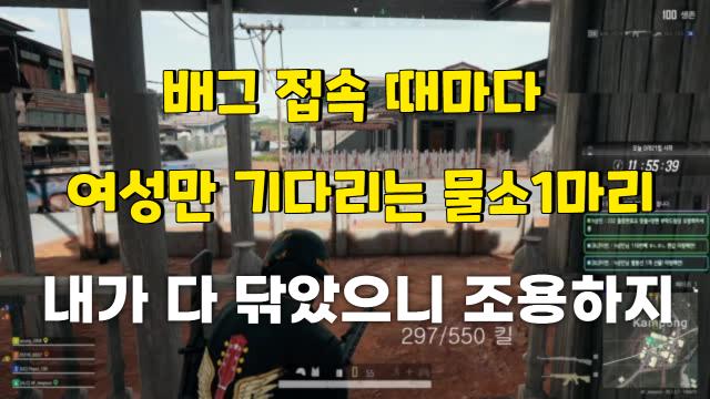 클립 재밌네 랜쿼드 캄퐁가자고 해놓고 사람많다고 지들끼리 가버리네펩시여물소남1인ㅋ재밌게했다네 펩시물소남배그랜쿼드