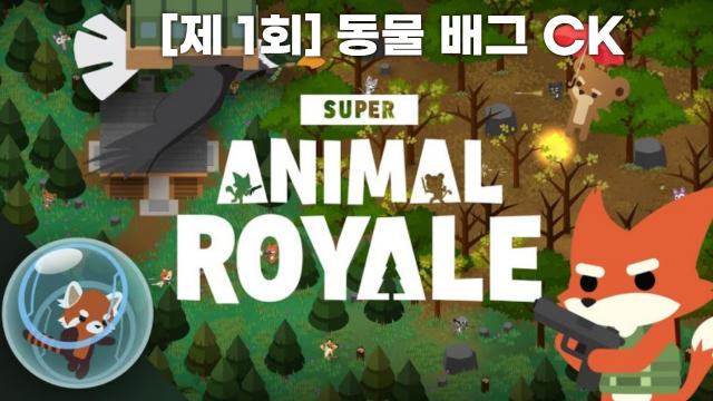 [호라이즌] 7시 동물배그CK 6인 | SOOP VOD