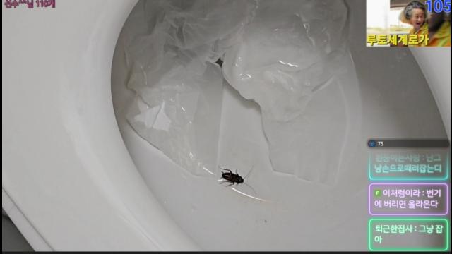 나루토해결사~1바퀴벌레잡아주기🪳2약국약사다주기💊🤣 루토카페소통고민상담수다먹방맛집노래음악시사뉴스길거리동네산책여행봉준부천춘천