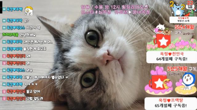 240711 옥정 힐링라디오♥유튜브꿀녀옥정구독♥퀵뷰이벤트♥귀르가즘♥꿀성대女♥멜론발라드댄스수면음악꿀잠방송목소리소통사연신청곡