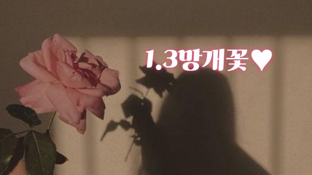 생라디오 13망개꽃♥ 다비켜 7788 칠백 보유국♥ 8월의 산타 에덴업♥ 아숩지업♥ 리에업♥ 후불업♥ 뽀끔업♥ 로롱업♥