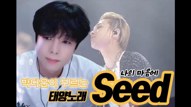 [클립]박다운이 부르는 태양노래 - Seed(나의 마음에) | 아프리카TV VOD
