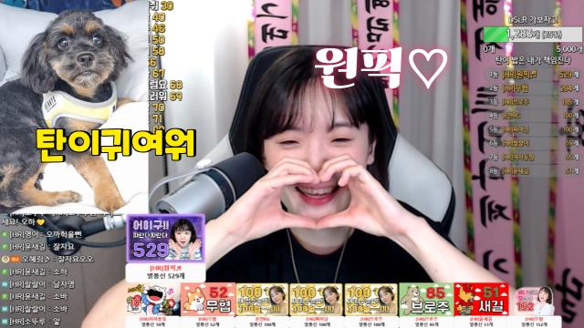 달님업 ️나는 행복한 비제이 맞즐 노래 음방 신청곡 감스트 감스트노래자랑 준우승 Soop Vod