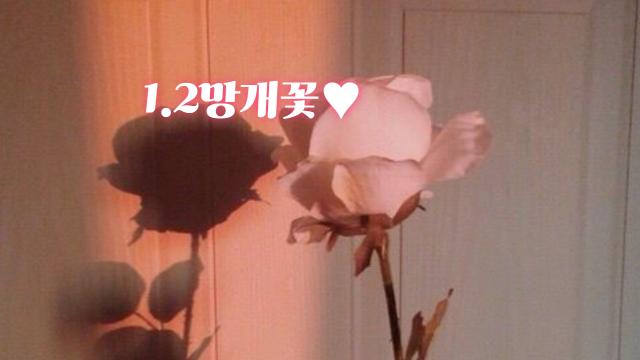 생라디오 12망개꽃♥ 나의 히어로 뿔꼼 왕쟈님♥ 촌놈업♥ 애츄업♥ 노스업♥ 은우업♥ 영어업♥ 상원업♥ 도끼업♥