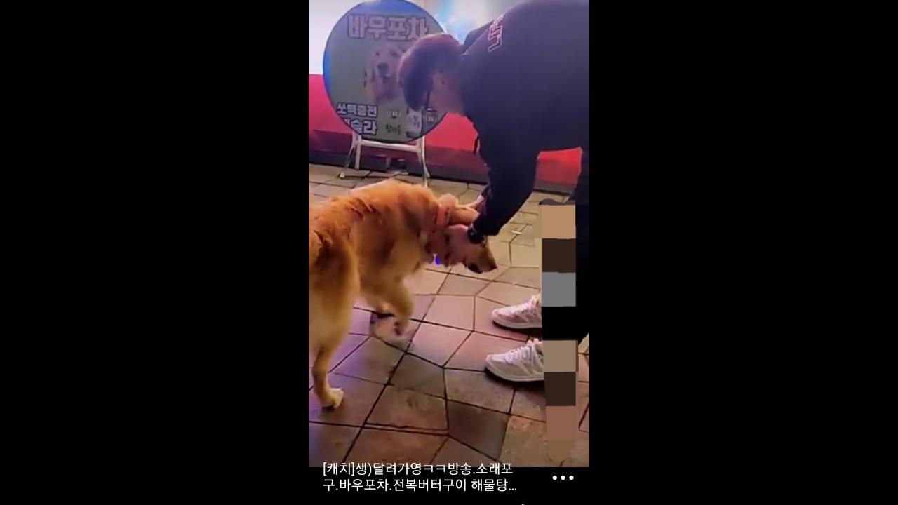 캐치 생달려가영ㅋㅋ방송소래포구바우포차전복버터구이 해물탕 튀김 등등맛집탐험먹방시장통여행공포흉가엽기먹방