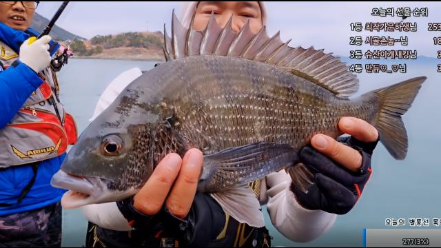 [어촌]감성돔45 | SOOP VOD