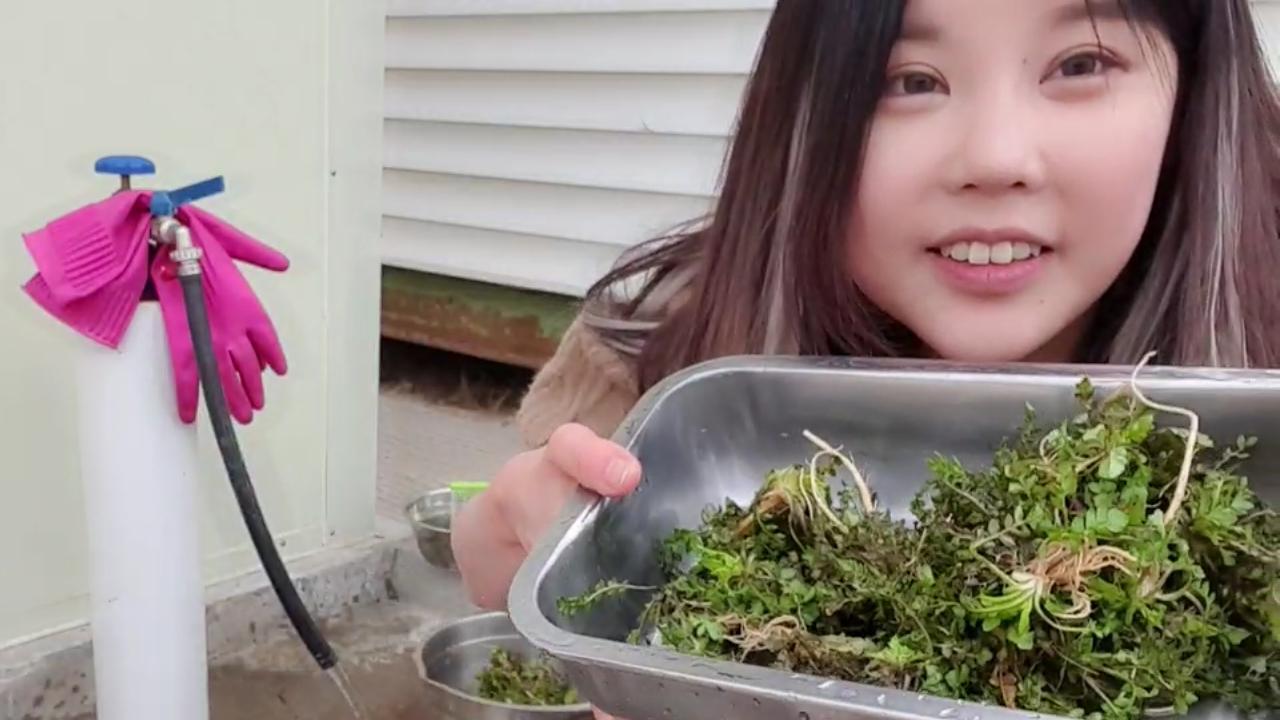 클립 귀여운 덕자누나 냉이를 캐서 냉이전을 엄마한테 팔기 덕자전성시대 아프리카티비 덕자 아프리카tv Vod