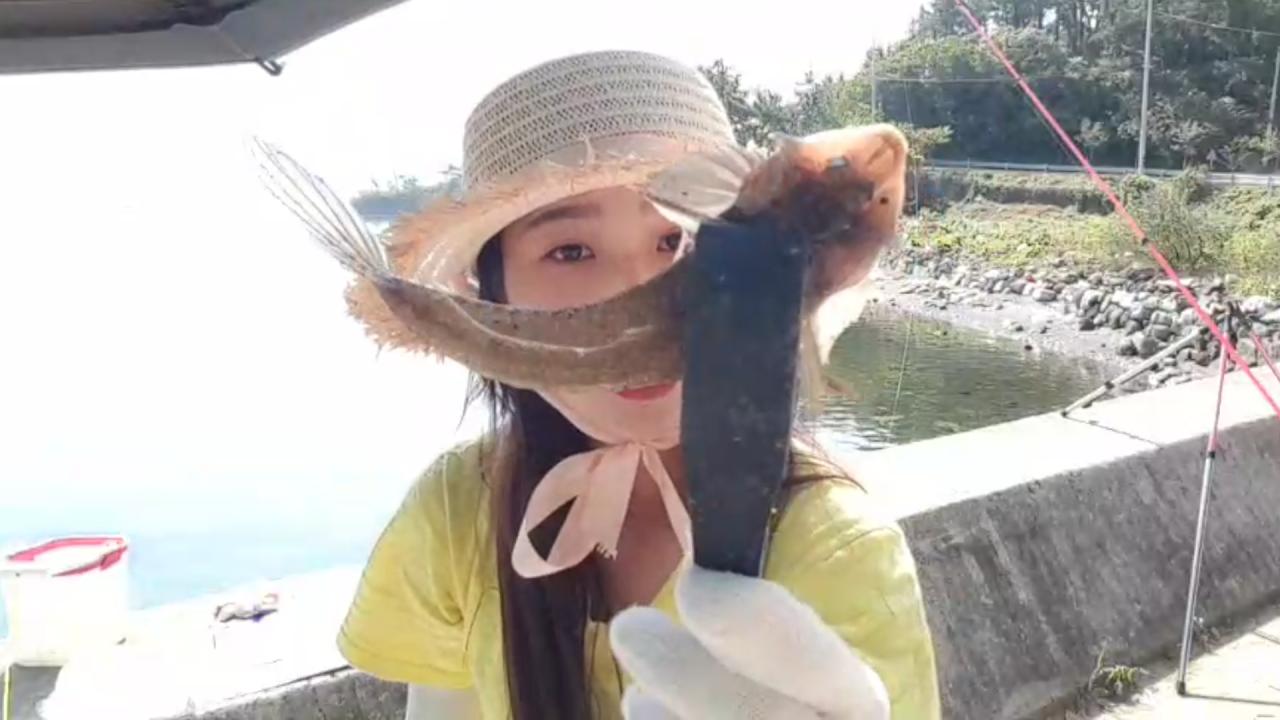 클립 🦐30수 양태🐟뽈락🐠복🐡망둥🐢보리용치🦐힐링 원투 낚시몰캉이와 함께해요~ 239일노방종 낚시 오토바이 트월킹 몰캉
