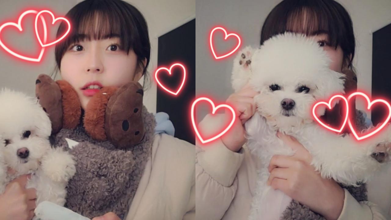 클립 💕🐶👩‍🌾박시루x박구름x쿠크다슬누나👨‍🌾🐶💕시골소녀 아프리카전자녀오토바이트월킹사쿠란보 쿠크다슬x감스트 Soop Vod