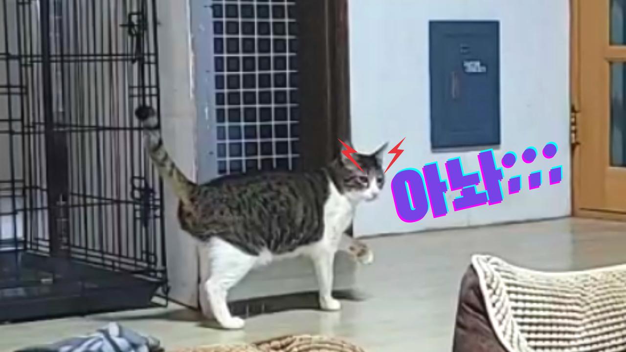 [클립]삼월이 밣은거야?ㅋㅋㅋㅋ | SOOP VOD