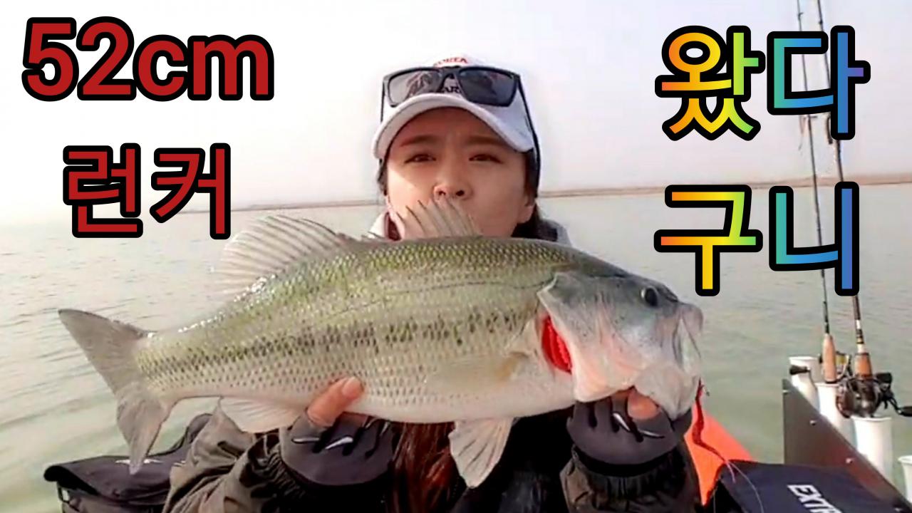 52cm 배스🧤 2.3Kg 런커 🎣 배스낚시 왔다구니 | SOOP VOD