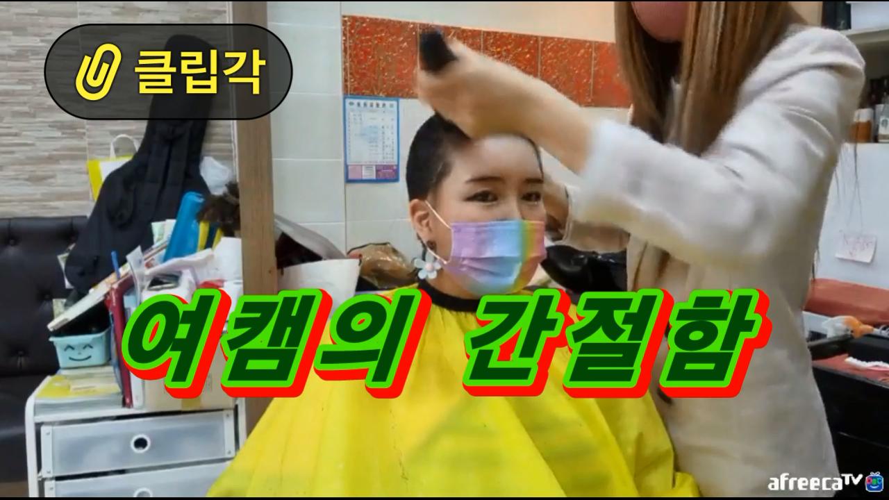 클립 F하루 삭발식진행 부천 신입여캠 섹시 육덕 트월킹 먹방 댄스 엽캠 여비서 아프리카tv Vod