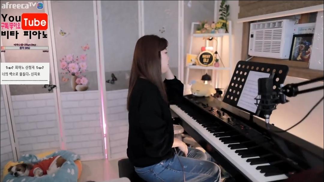 🎶비타피아노🍂신지호 너의 색으로 물들다 🍂유튜브 비타피아노 구독 좋아요는 제작자의 힘이 됩니다 🎶 아프리카tv Vod