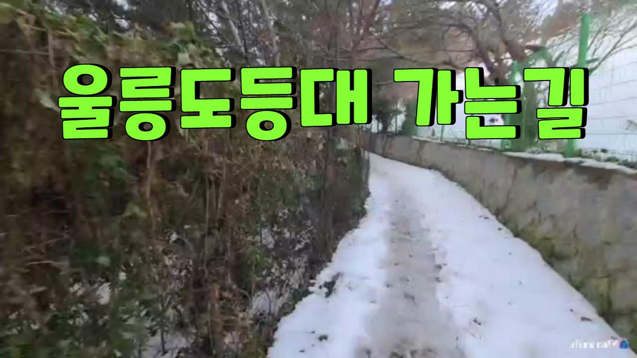 클립 울릉도 힐링 여행 모노레일 10대 비경 대풍령 도도누나 만두개 총2만개 미션★ 3박4일 72시간 노방종 Soop Vod
