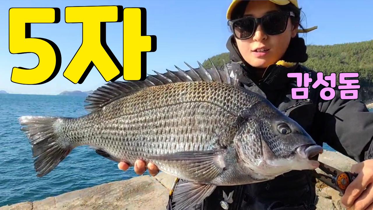 감성돔 54 기록경신 ! ! ! | SOOP VOD