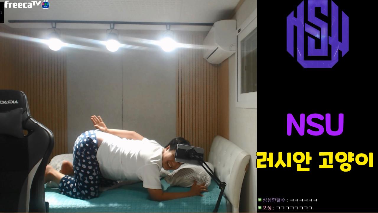 [NSU]🐈러시안 고양이 (한두열 고양이 자세)🐈 | 아프리카TV VOD