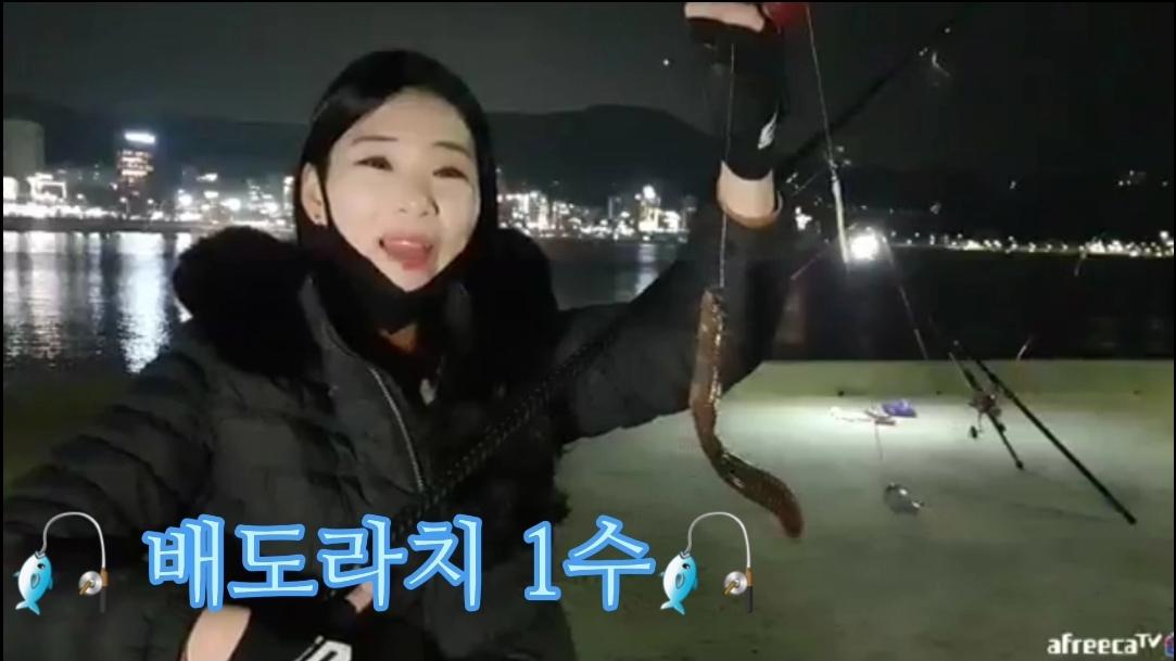 [클립]배도라치1♡부산 뒷바람 원투 낚시 ⭐마리당233! | SOOP VOD