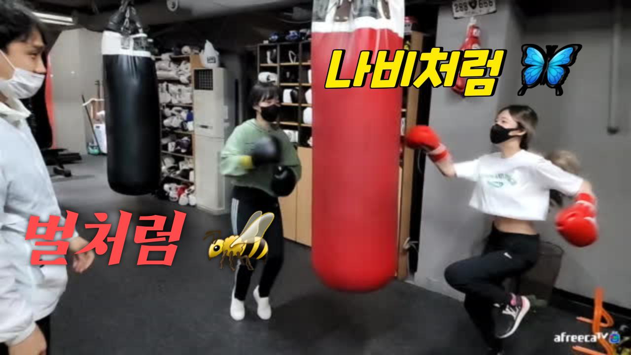 😱남순 주먹이운다 아리엘vs맑음 NSU | SOOP VOD