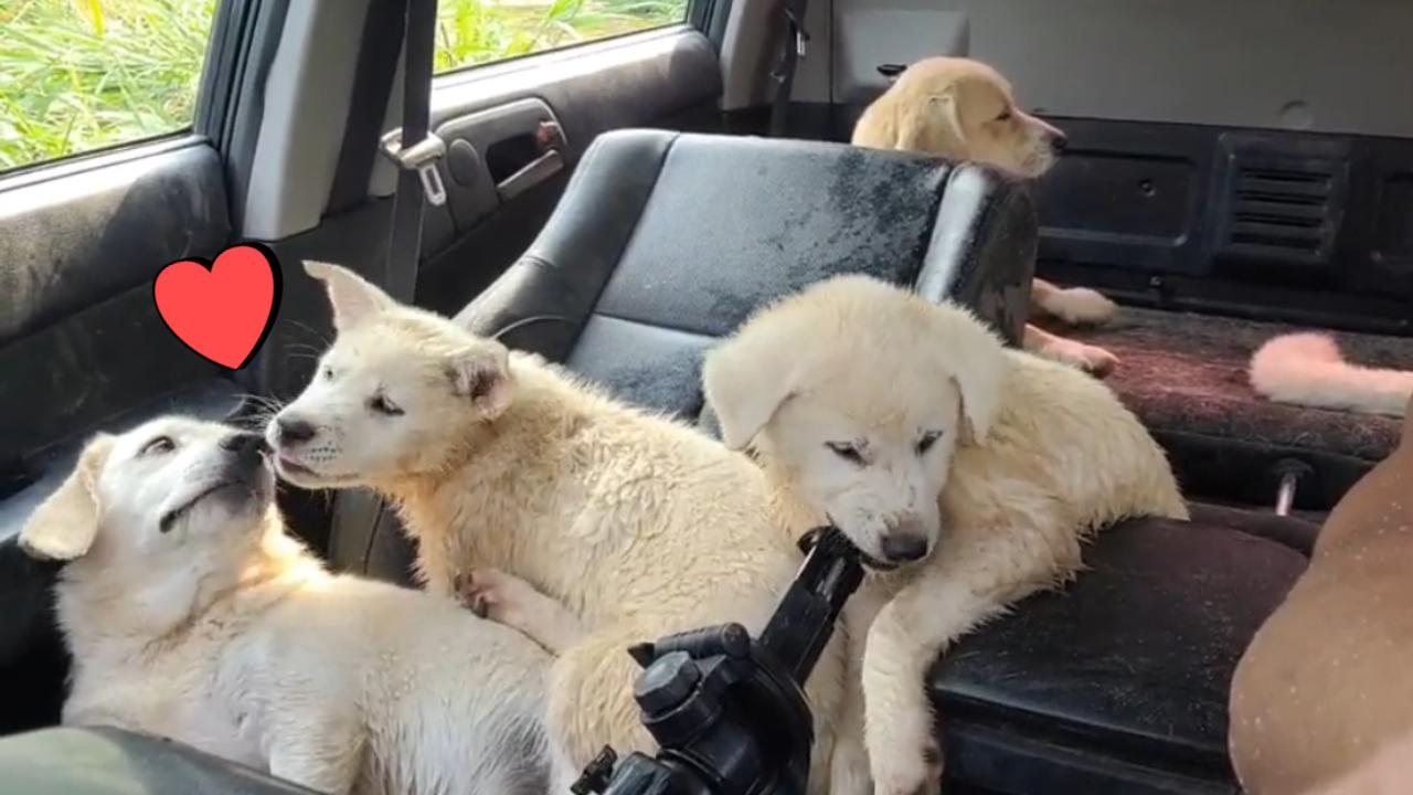 [클립] 꿀뚝뚝~♥ 설구야 너 삼촌 깔고앉은거 알지? | SOOP VOD