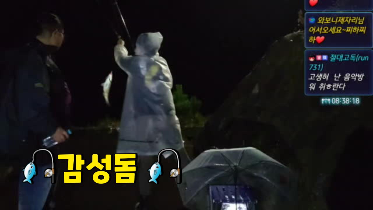클립 동해 개불 원투낚시 장어1수복어4수감성볼채비1수 ️새싹이 1000풍 미션 장어3수하기실패시 노래따구형님500