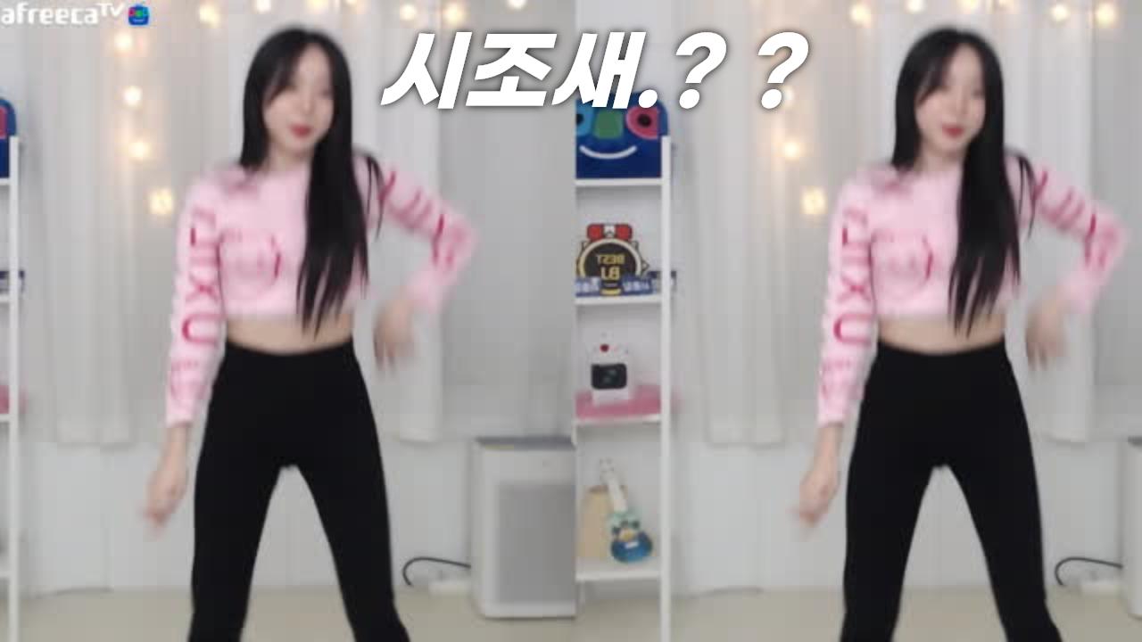 [ JSA ] 서쫑알 .리액중.. 시조새 등장‼️ㅋ | SOOP VOD