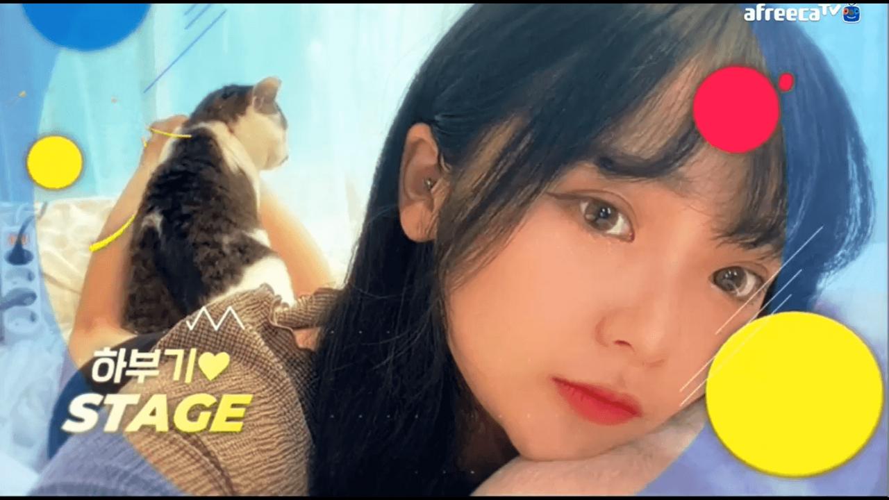 클립 7일간의 댄동댄스미러워 마이너스 전쟁오늘의 1등 복사기는 누구달라경아시은선호민욱민쓰펀큐하부기신우